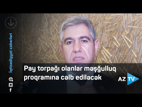 Pay torpağı olanlar məşğulluq proqramına cəlb ediləcək