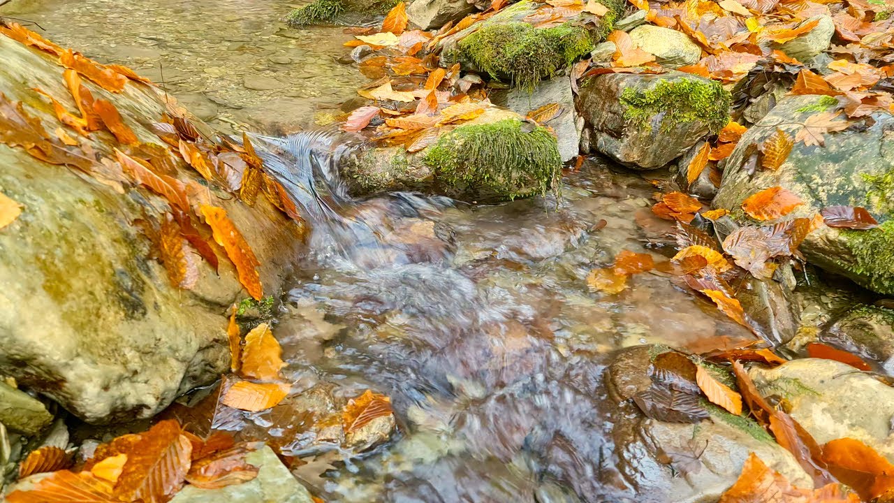 Sounds of Nature. A Gentle Stream Without Birdsong. 10 Hours Of 4K ...