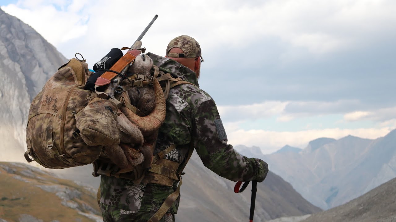 Sheep Hunt - Alberta Canada - YouTube