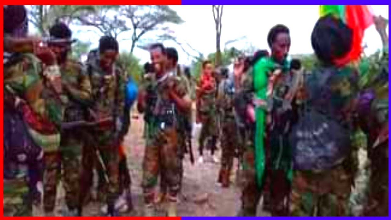 Oduu BBC Afaan Oromoo,,December 2, 2021 - YouTube