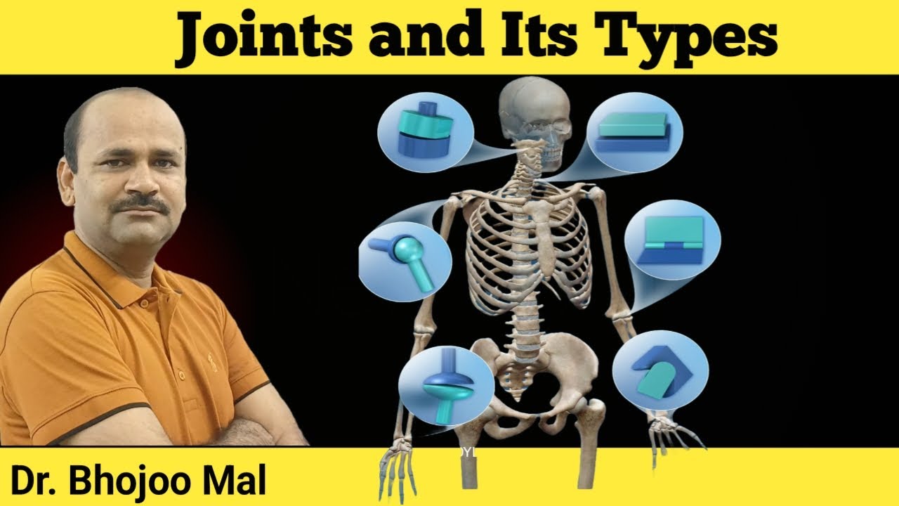 Joints and its Types | Class 12 Biology | by Dr. Bhojoo Mal - YouTube