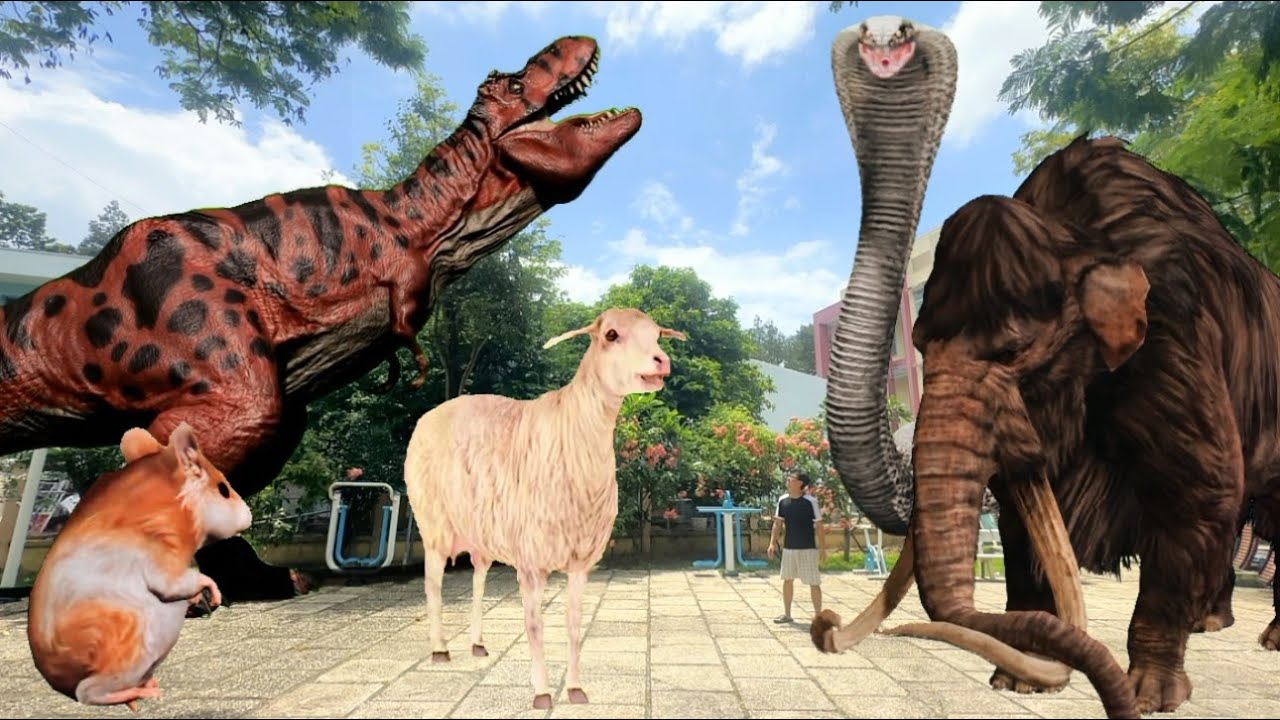 Learn Animal Sounds: Crocodile, hamster, sheep, mammoth, cobra ...