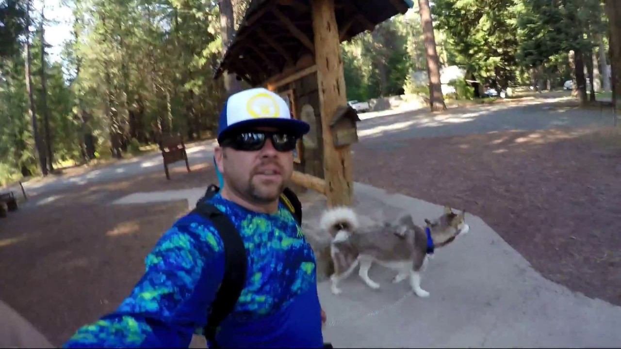 head of the metolius and wizard falls fish hatchery SO - YouTube