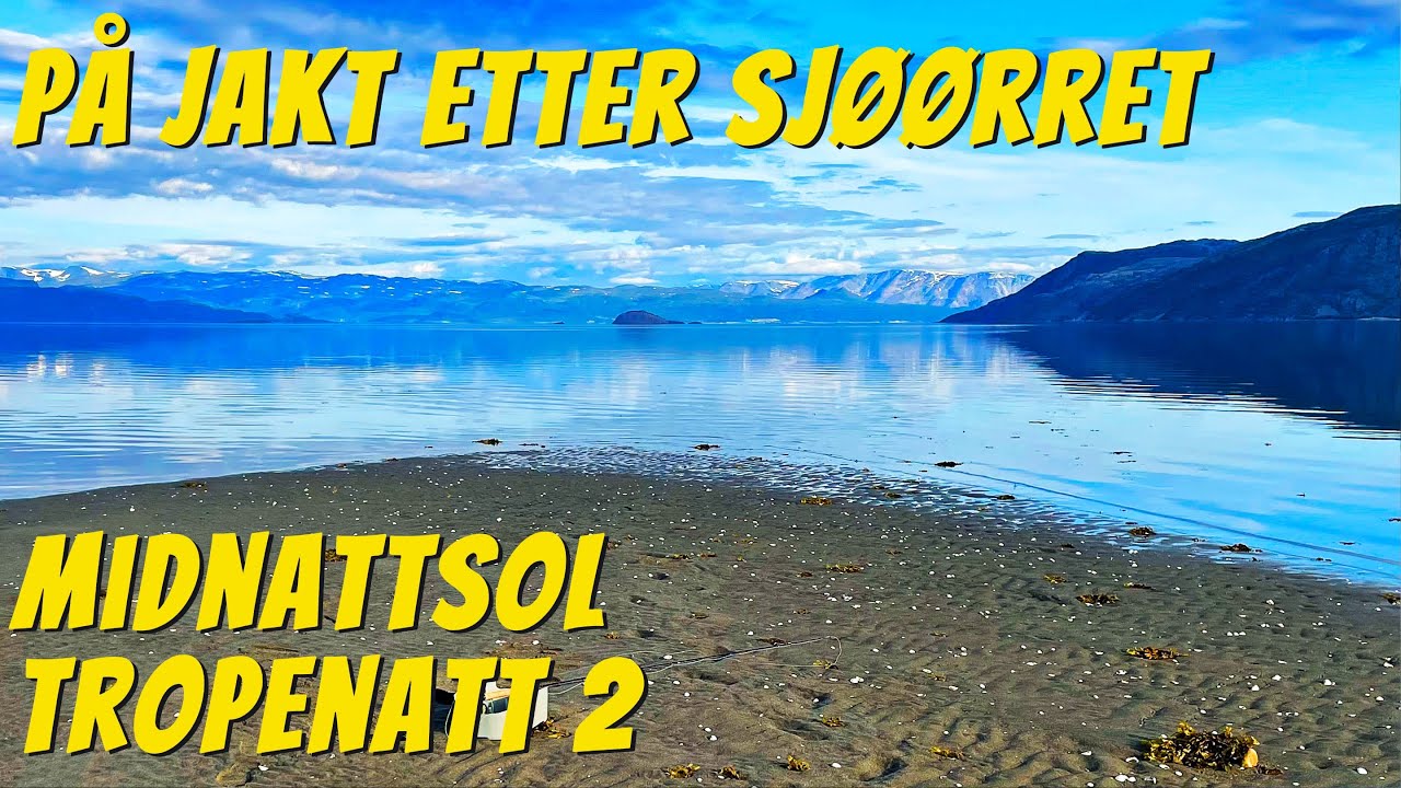 På jakt etter Sjøørret i midnattsol og tropenatt - Fluefiske i Finnmark 2023 - Del 2 - YouTube