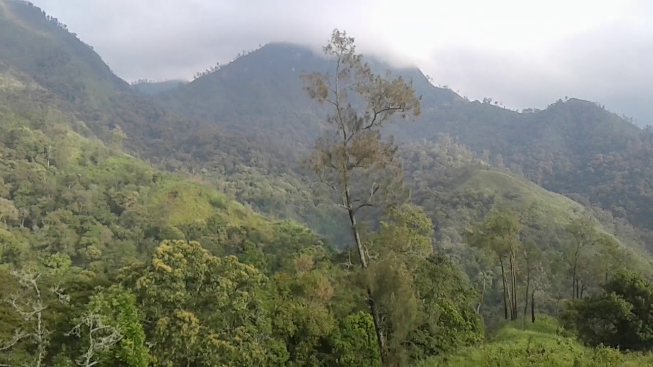 Bukit puncak gunung wilis - YouTube