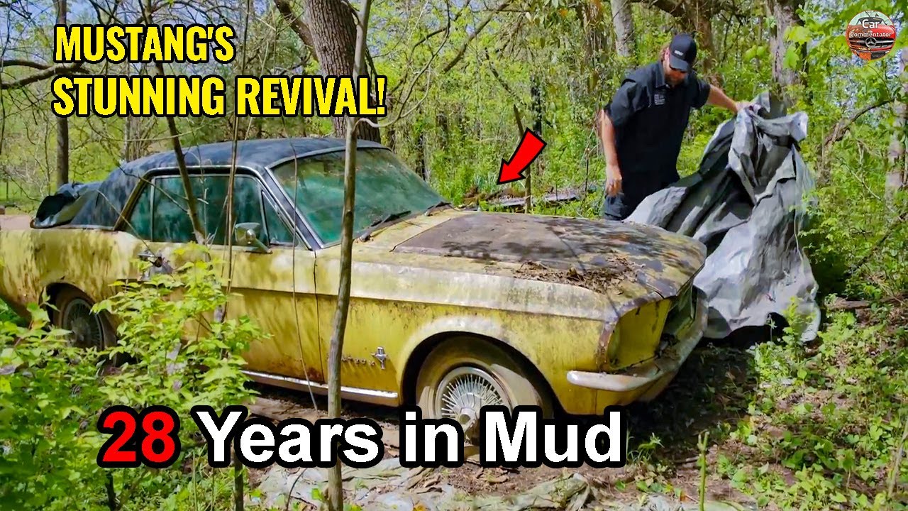 28 Years Abandoned in a Swamp: Watch This Rusted Mustang Roar Back to ...