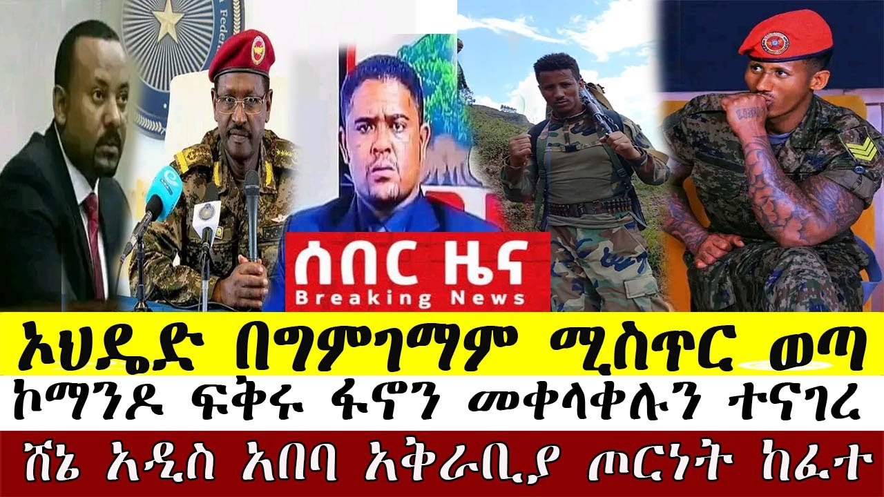 ኮማንዶ ፍቅሩ ፋኖን መቀላቀሉን ተናገረ/ኦህዴድ በግምገማም ሚስጥር ወጣ/ሸኔ አዲስ አበባ አቅራቢያ ጦርነት ከፈተ ...