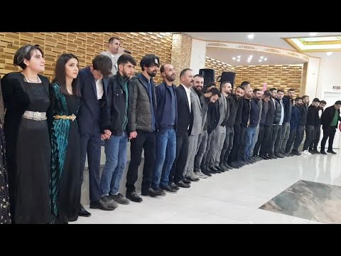 Yüksekova Düğnleri - Hozan Tacettin , New Davat [  © HD ]
