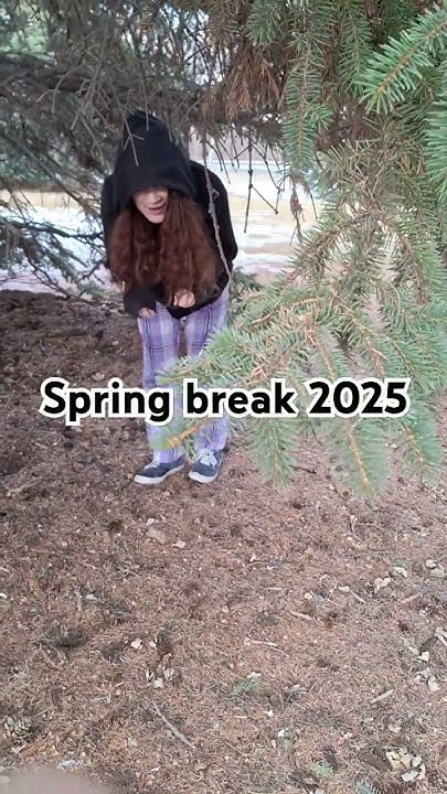 spring break memory of 2025 - YouTube
