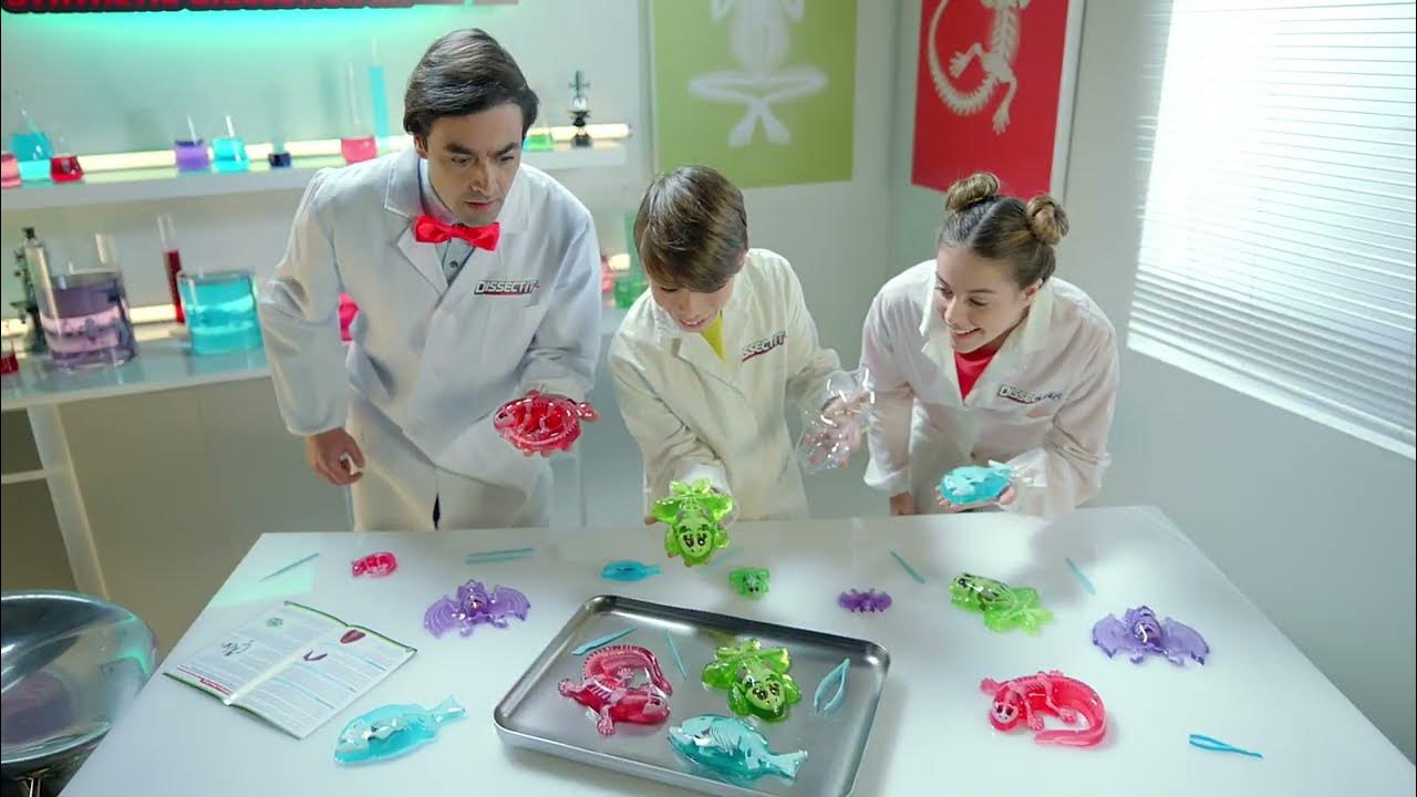 Unleash STEM Fun: Slimy Dissect-It Simulated Synthetic Lab Dissection ...