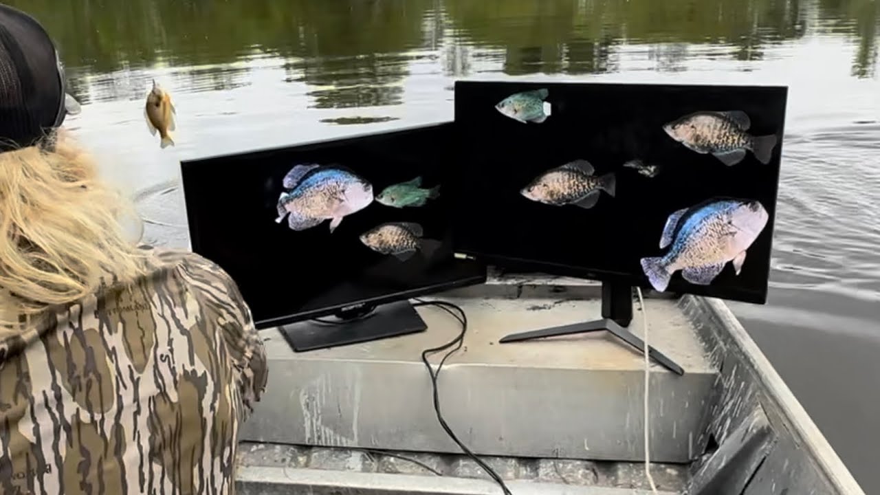 Live scope fishing so easy!!!!! - YouTube