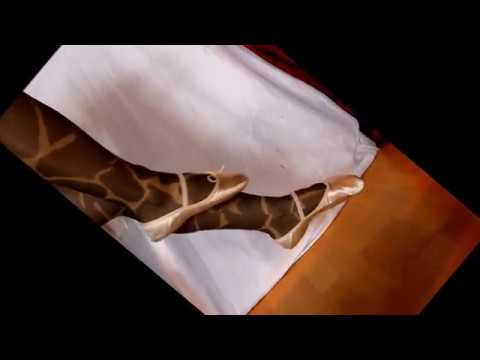 Ballett Giraffe - Ballet Shoes with a chic Giraffe Pattern Pantyhose and a Ballet Tutu - HD