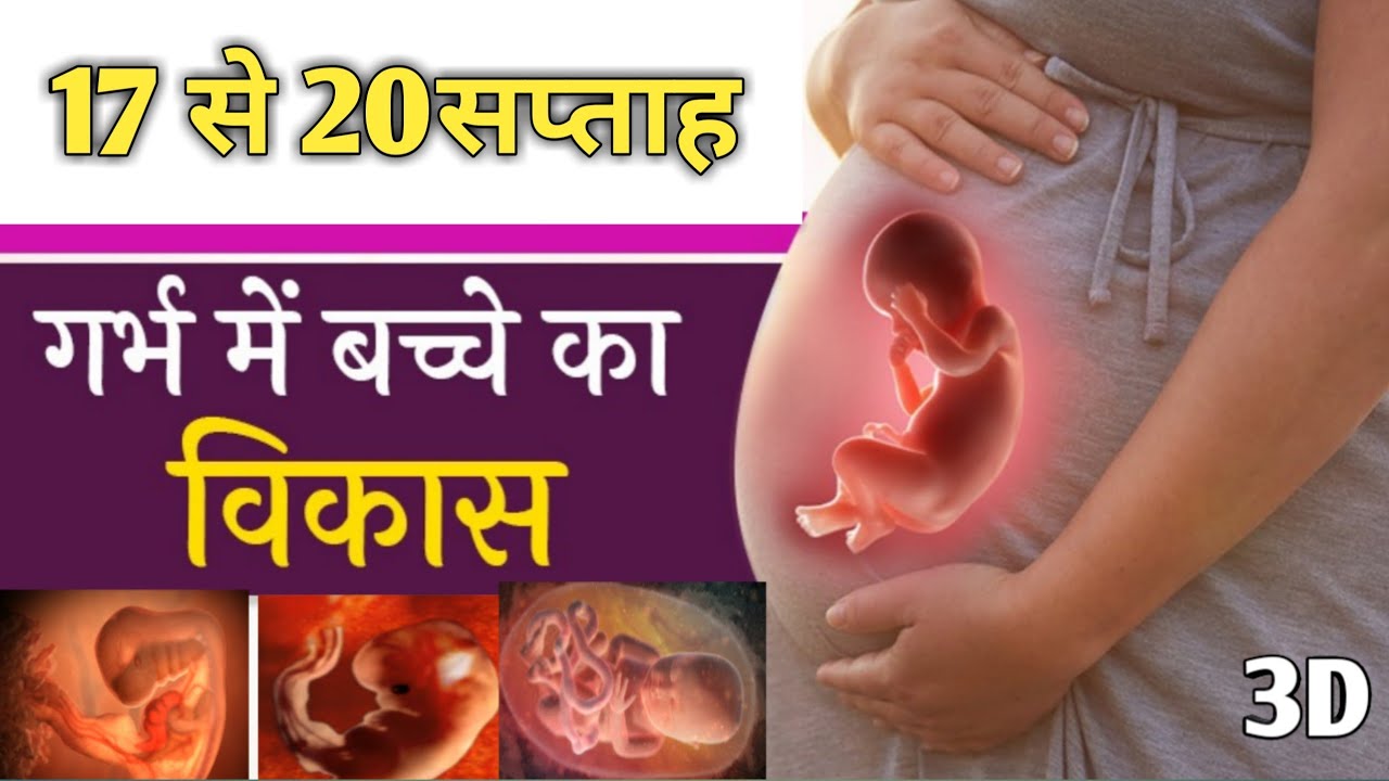 17-20 Weeks Fetal Development / गर्भावस्था का पांचवा महीना / 5 Month ...