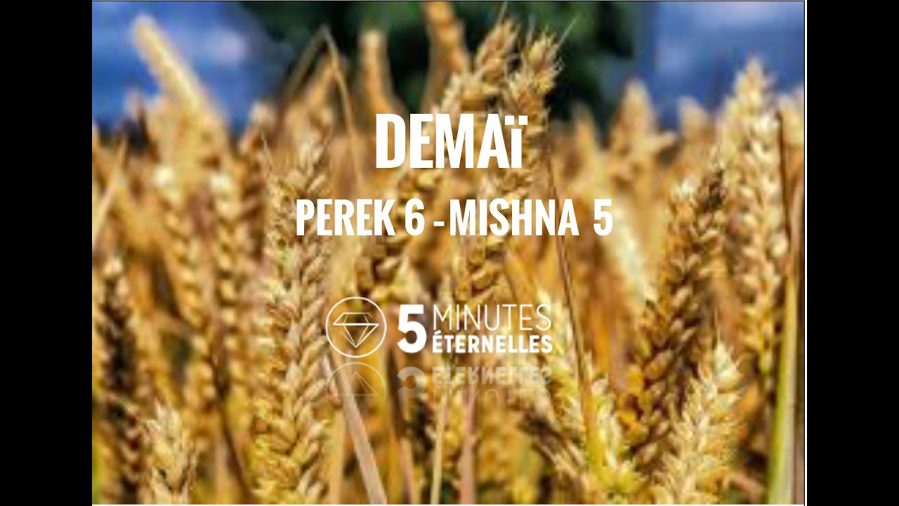 Demaï - Perek 6 Mishna 5 - Lun. 6 Tevet 5785 - YouTube