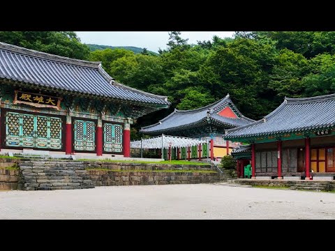 [4K] Walk at Jeungsimsa Temple, a thousand-year-old temple in Gwangju ...