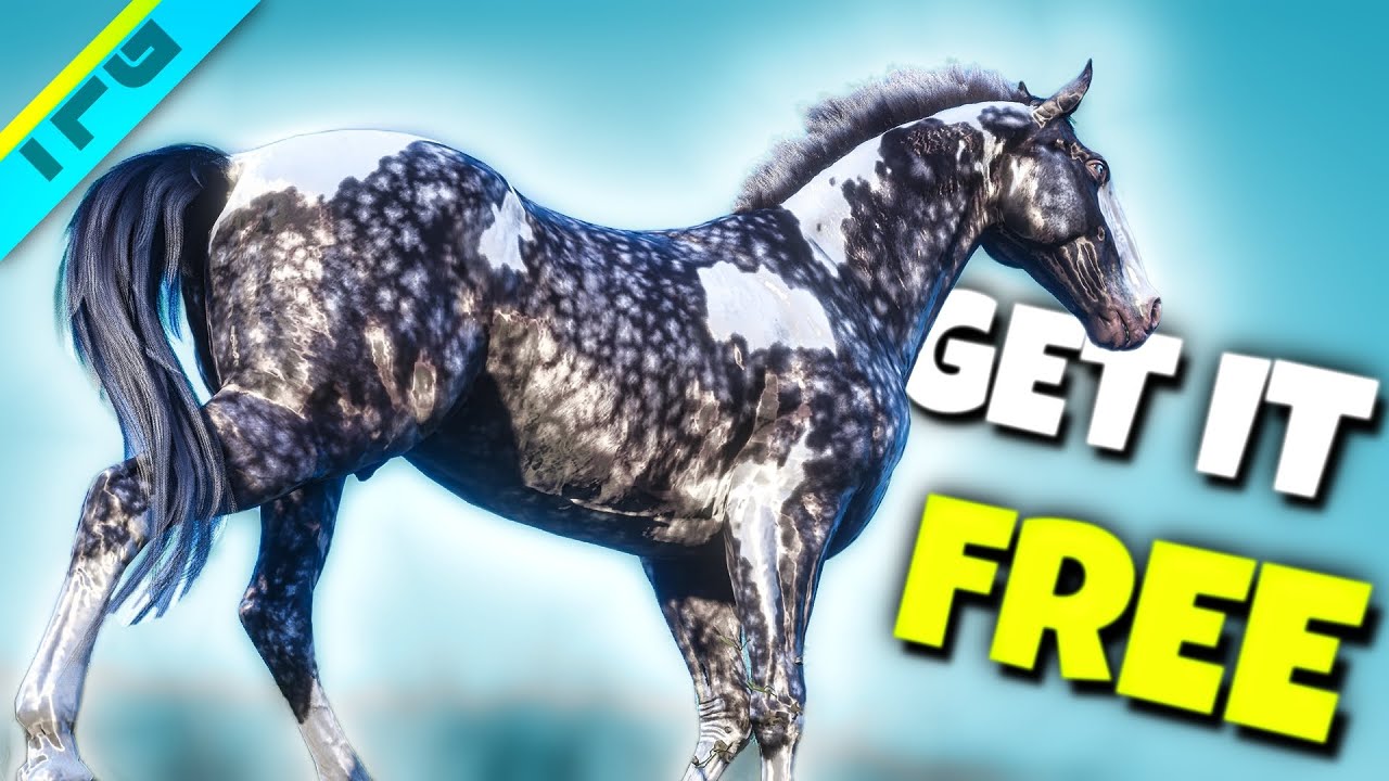 Must-Have Horse! Silver Dapple Pinto (Easy Guide) | RDR2 - YouTube