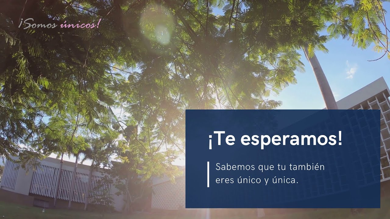 Recorrido Virtual Escuela de Derecho UPR - YouTube