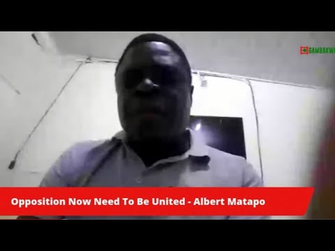Zimbabweans Opposition Must Unite - Albert Matapo - YouTube