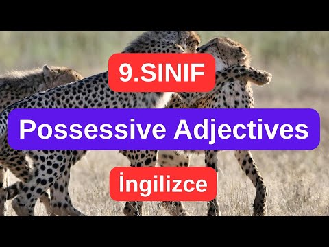 9th Grade English Possessive Adjectives