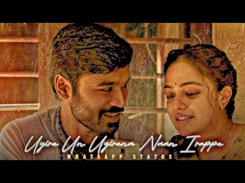 😥💔Yaar Nee🥀Yaar Naan💫🌎Uyire Un Uyirena Naa Iruppe😘WhatsApp status - YouTube