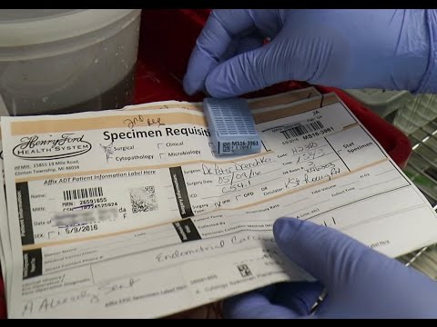 Mistake Proofing: Case Example on Misidentified Specimens - YouTube