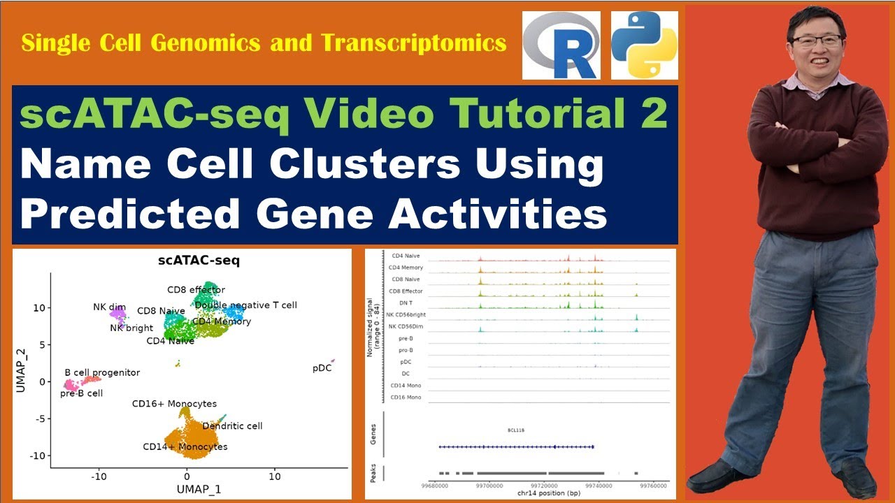 scATAC-seq Video Tutorials--Video 2: Name Cell Clusters Using Predicted ...