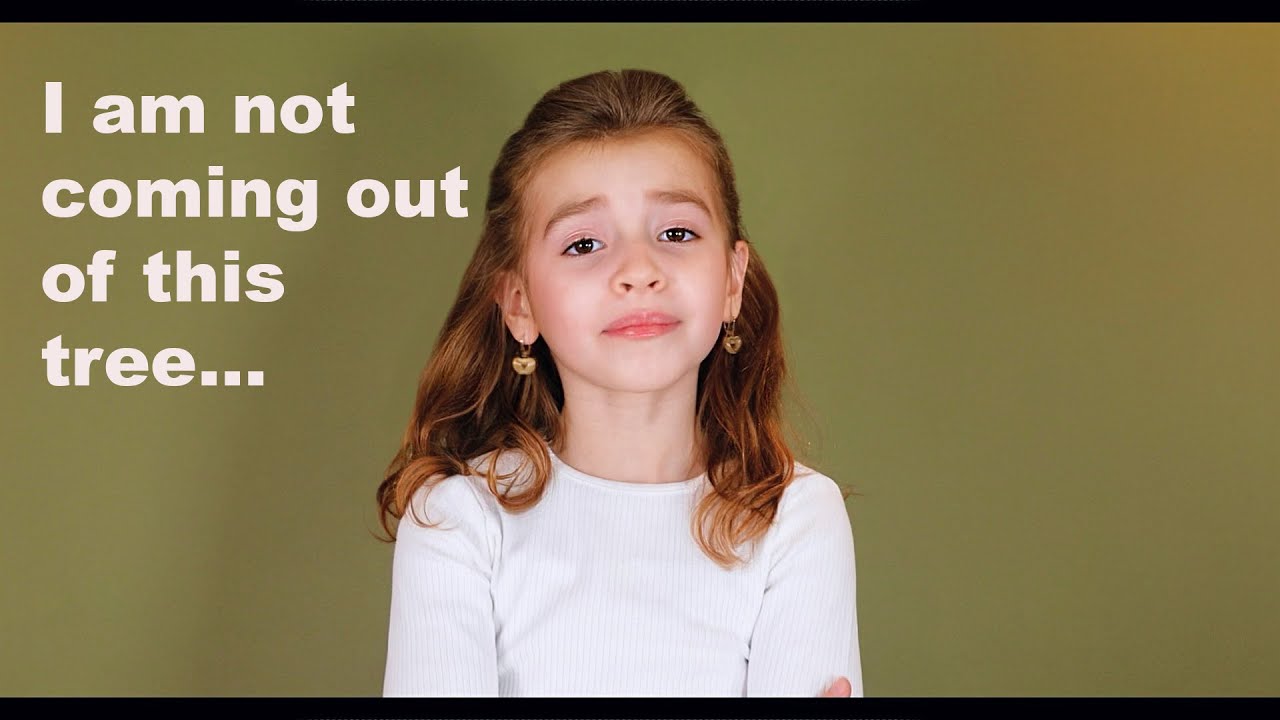 I am not coming out of this tree - YouTube
