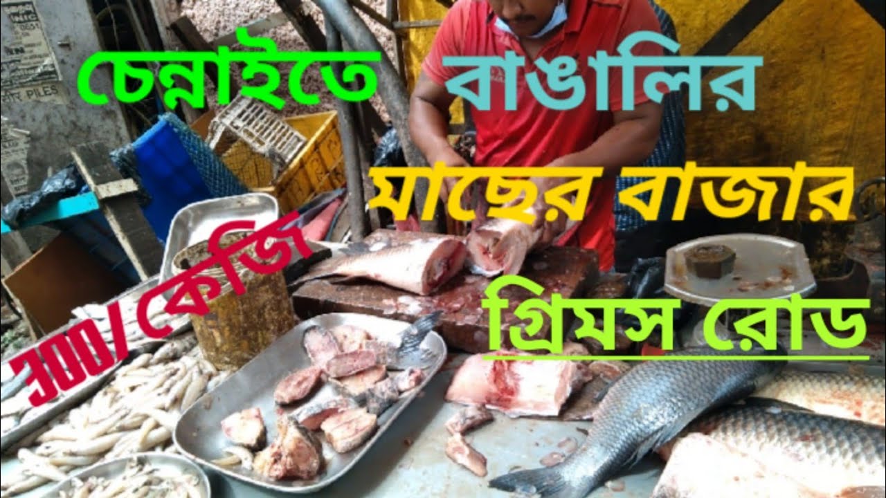 Channai fish market#channai bengali fish market - YouTube