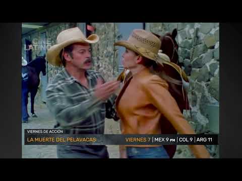 La muerte del pelavacas Vie 7 ago - Cinelatino LATAM | Cinelatino