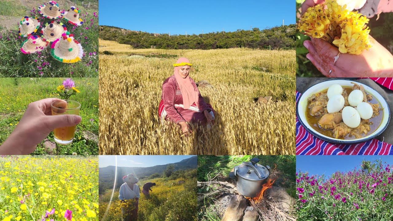 Explore Morocco's Stunning Spring Countryside: Picnic in the Mountains ...