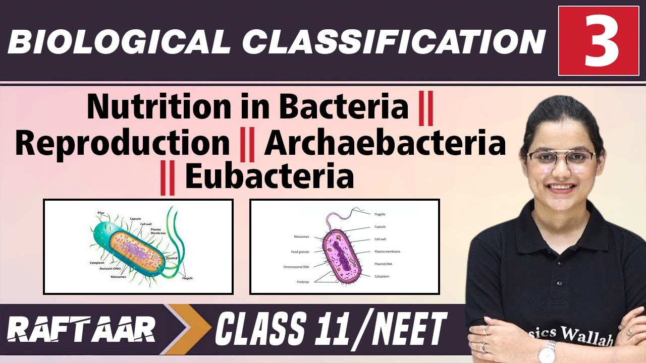 Biological Classification 03 | Nutrition in Bacteria l Reproduction l ...