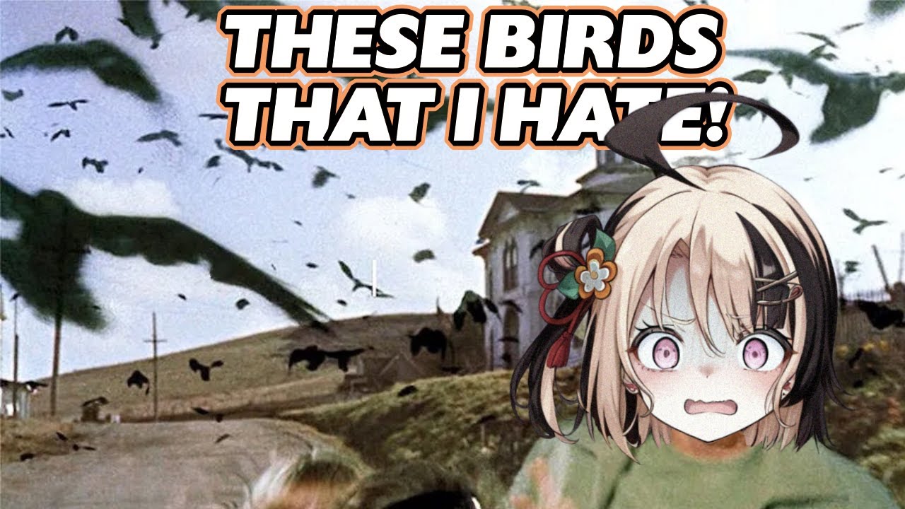 Gigi Murin: The Anti-Bird Crusader [Season 1: Episode 2] - YouTube