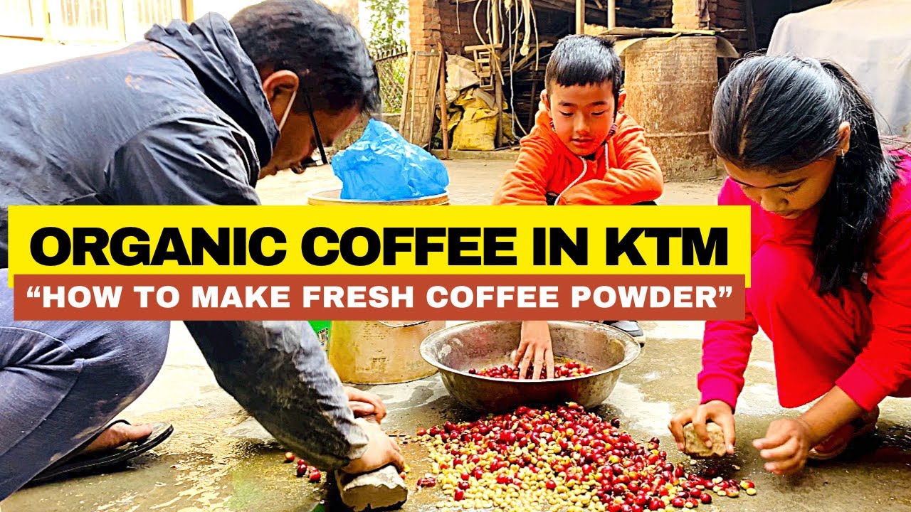 ORGANIC COFFEE IN KATHMANDU | HOW TO MAKE FRESH COFFEE POWDER WITH ...