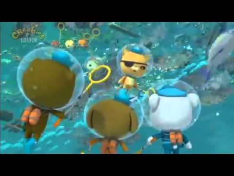 Octonauts and the Pelicans Series 03 Episode 06 - YouTube