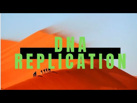 DNA REPLICATION HD 4D VIDEO IN BIOLOGY - YouTube