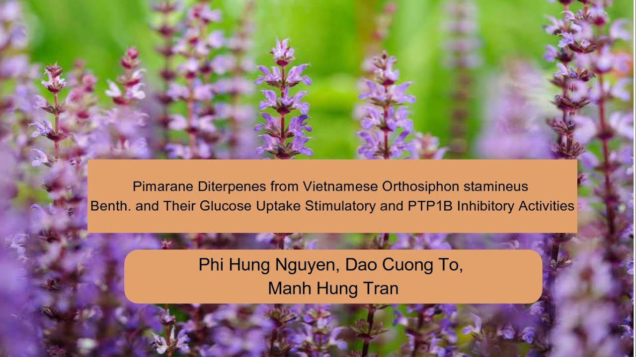 Pimarane Diterpenes from Vietnamese Orthosiphon stamineus Benth. and ...
