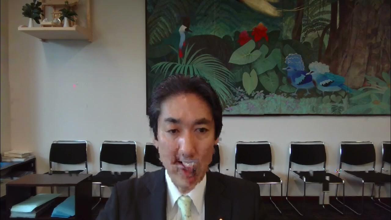 Three Seas Parliamentary Forum: welcoming remarks by Minoru Kiuchi - YouTube
