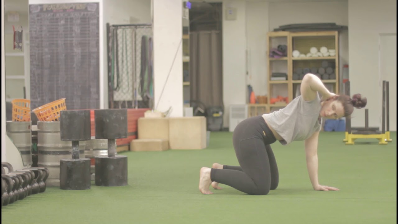 T Spine Rotations From Quadruped Youtube