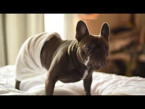 Bath time for my brother, Frank!