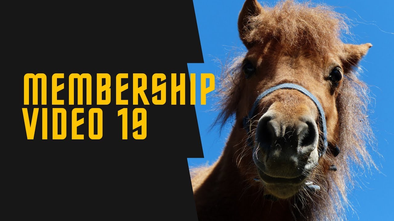 Membership Video 19 - YouTube