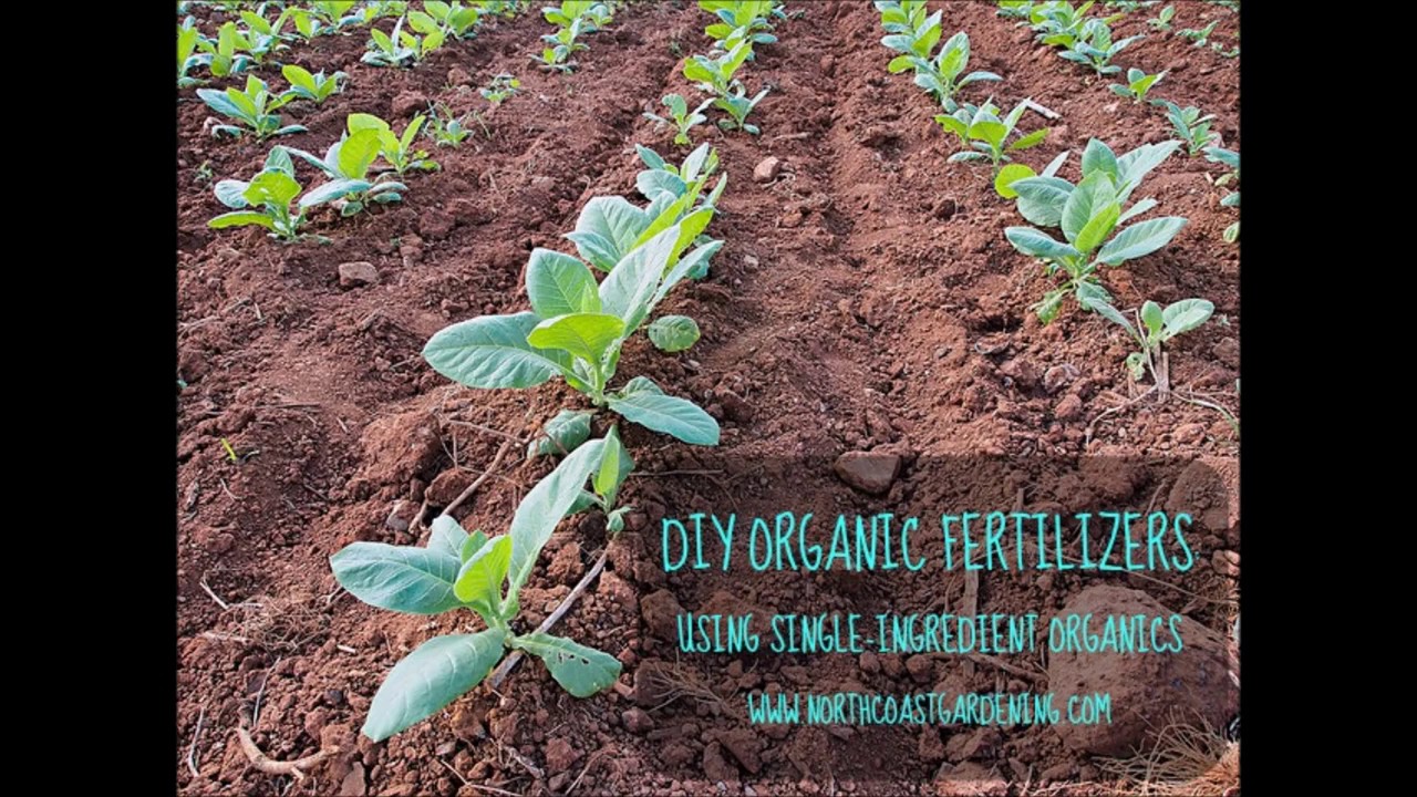 Advertisement Of Organic Fertilizer - YouTube