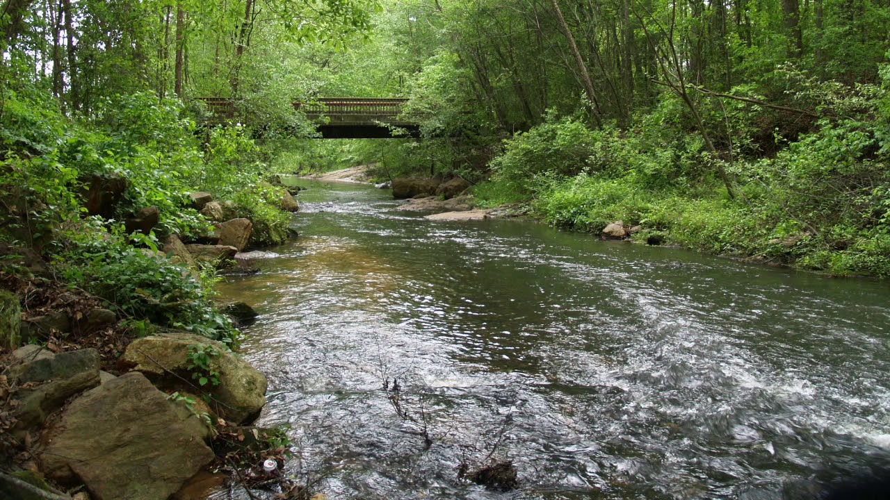 10 hours Babbling Brook Sounds Of Nature [no ads] ASMR forest water ...
