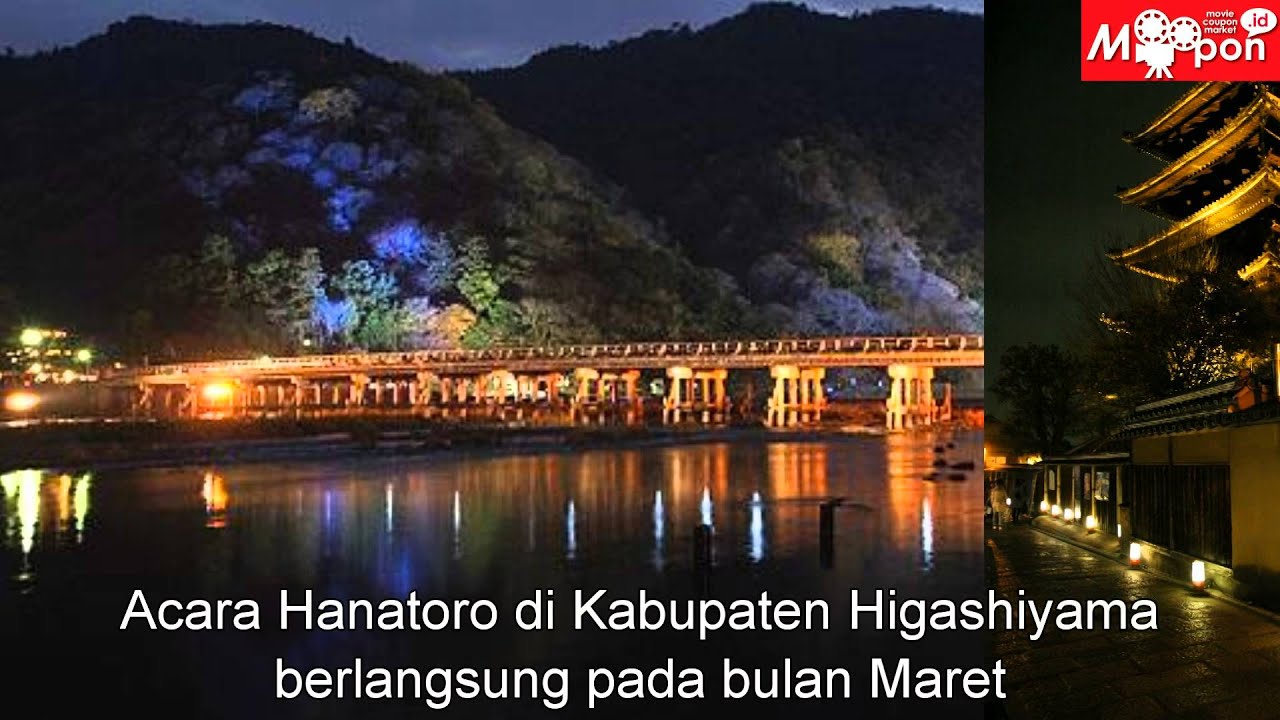 Travel Jepang : Keindahan bunga di bawah cahaya lentera. Hanatoro ...
