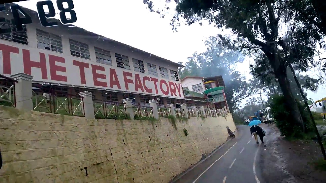 Trip to Ooty Tea Factory and Tea Museum - YouTube