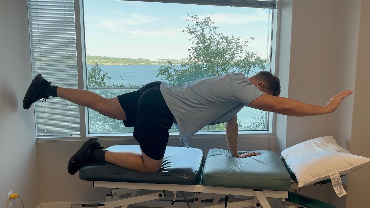 How To Do Bird Dog (Lower Back Strengthening) - YouTube