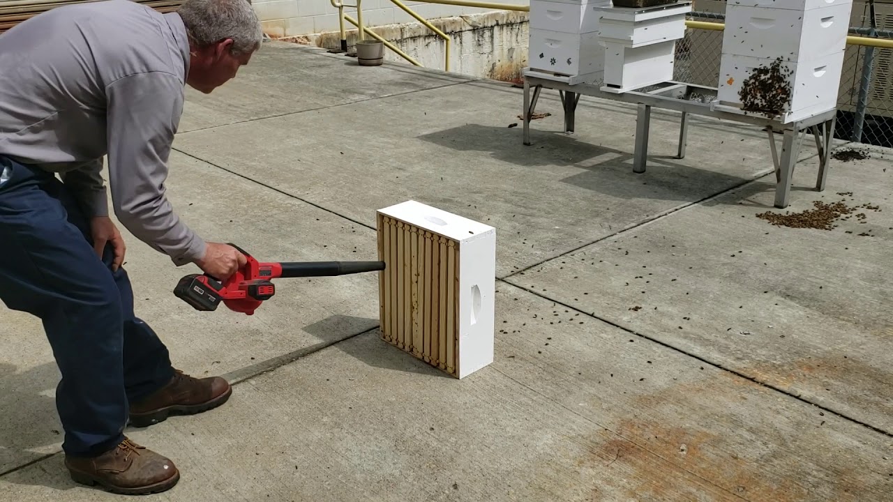 Clearing Bees From Honey Super With A Blower - YouTube