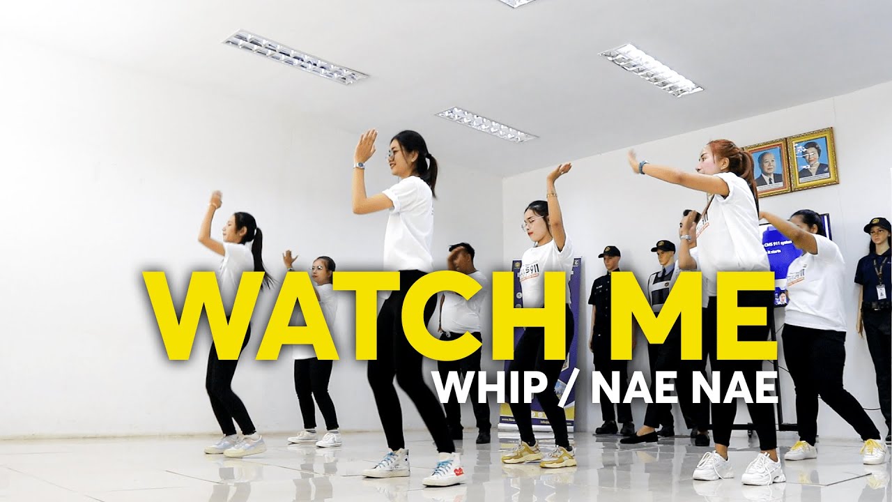 Watch Me (Whip / Nae Nae) - Libra Team Challenges - YouTube