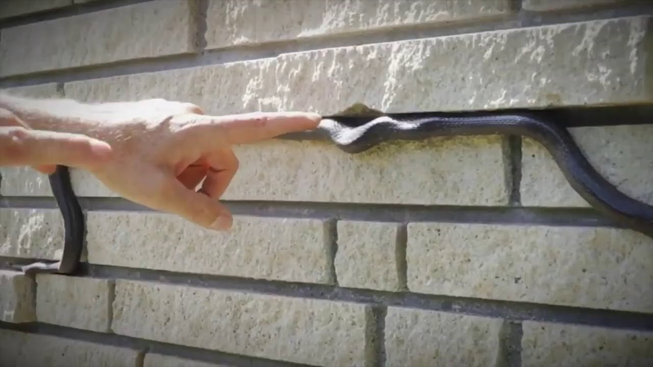 CHOP Is Being Cleared?! Terry Crews 'Black Lives Better' Tweet?! States ...