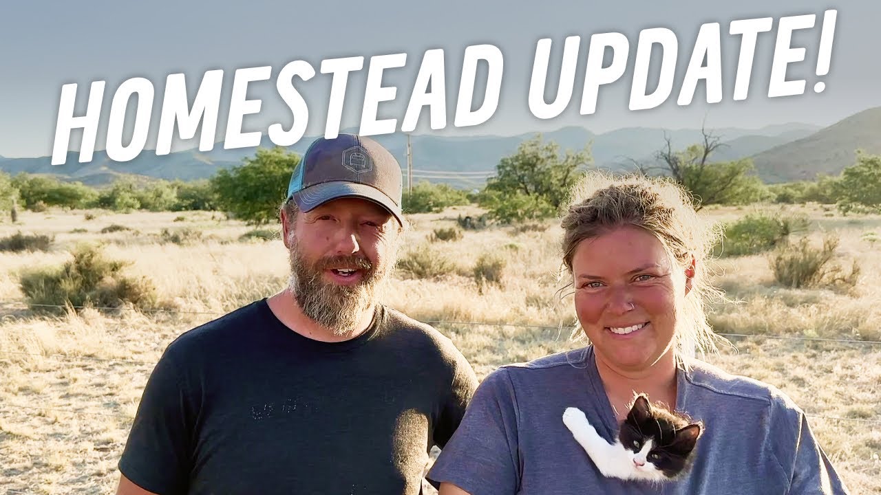 The LAST STEPS Before We Start Our House! - YouTube