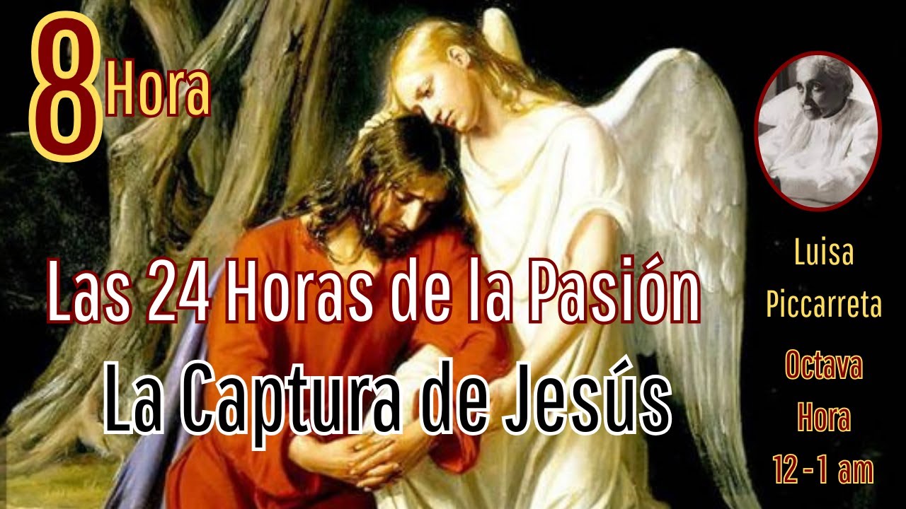 8. Octava Hora De 00 a 01 Mañana - LAS 24 HORAS DE LA PASIÓN DE JESÚS ...